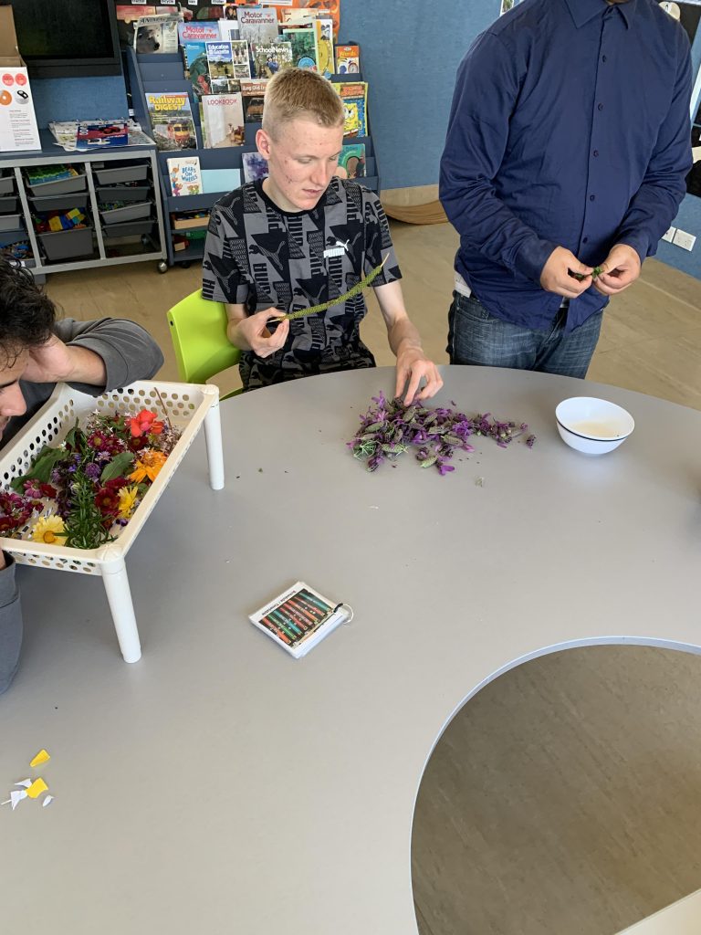 Gallery – Rosehill School